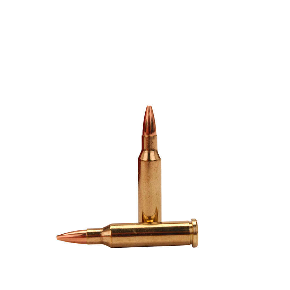 17 Hornet Ammo – Total Sports